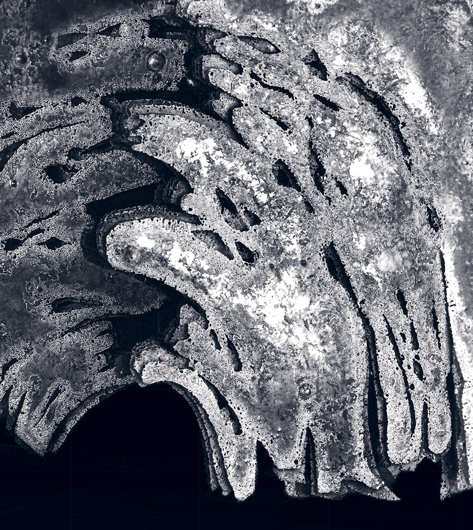 Pierre Sabatier | Librairie Lardanchet Paris