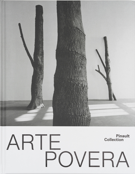 Arte Povera