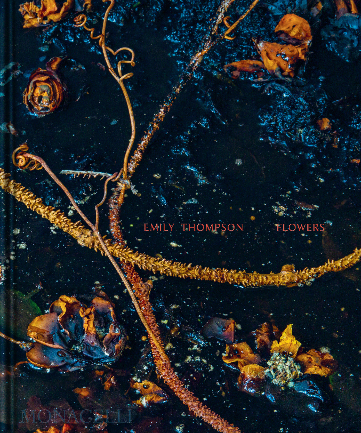 Emily Thompson Flowers | Librairie Lardanchet Paris